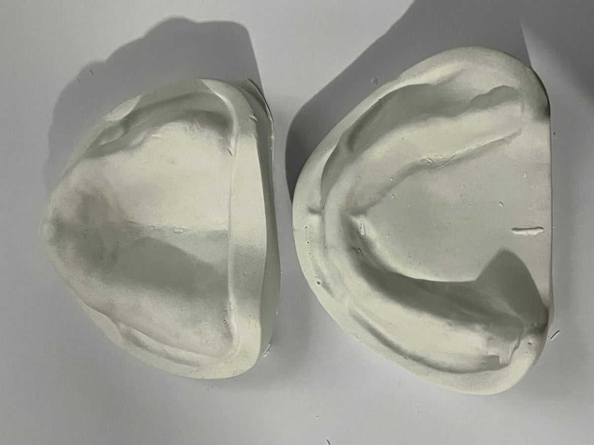 Tipodonto Modelo de yeso desdentado steel dental – Deposito Dental Molar